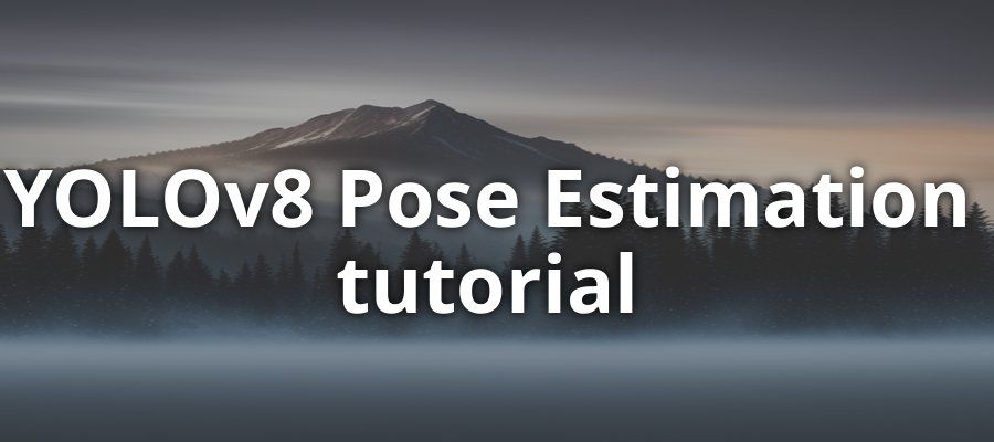 YoloV8 Pose Estimation