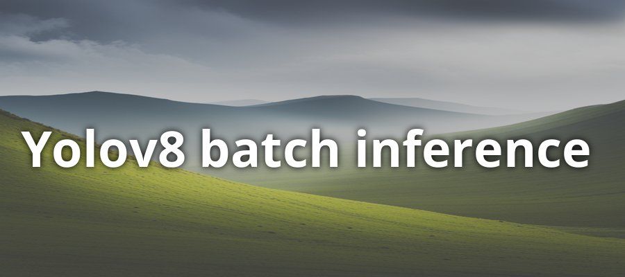YOLOv8 Batch Inference: Speed & Efficiency